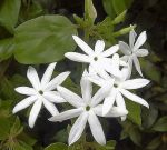 September | 2012 | sreenivasarao's blogs | Page 11