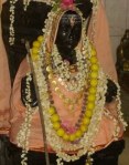 Thyagaraja-Statue-at-Thiruvaiyaru-1 | sreenivasarao's blogs